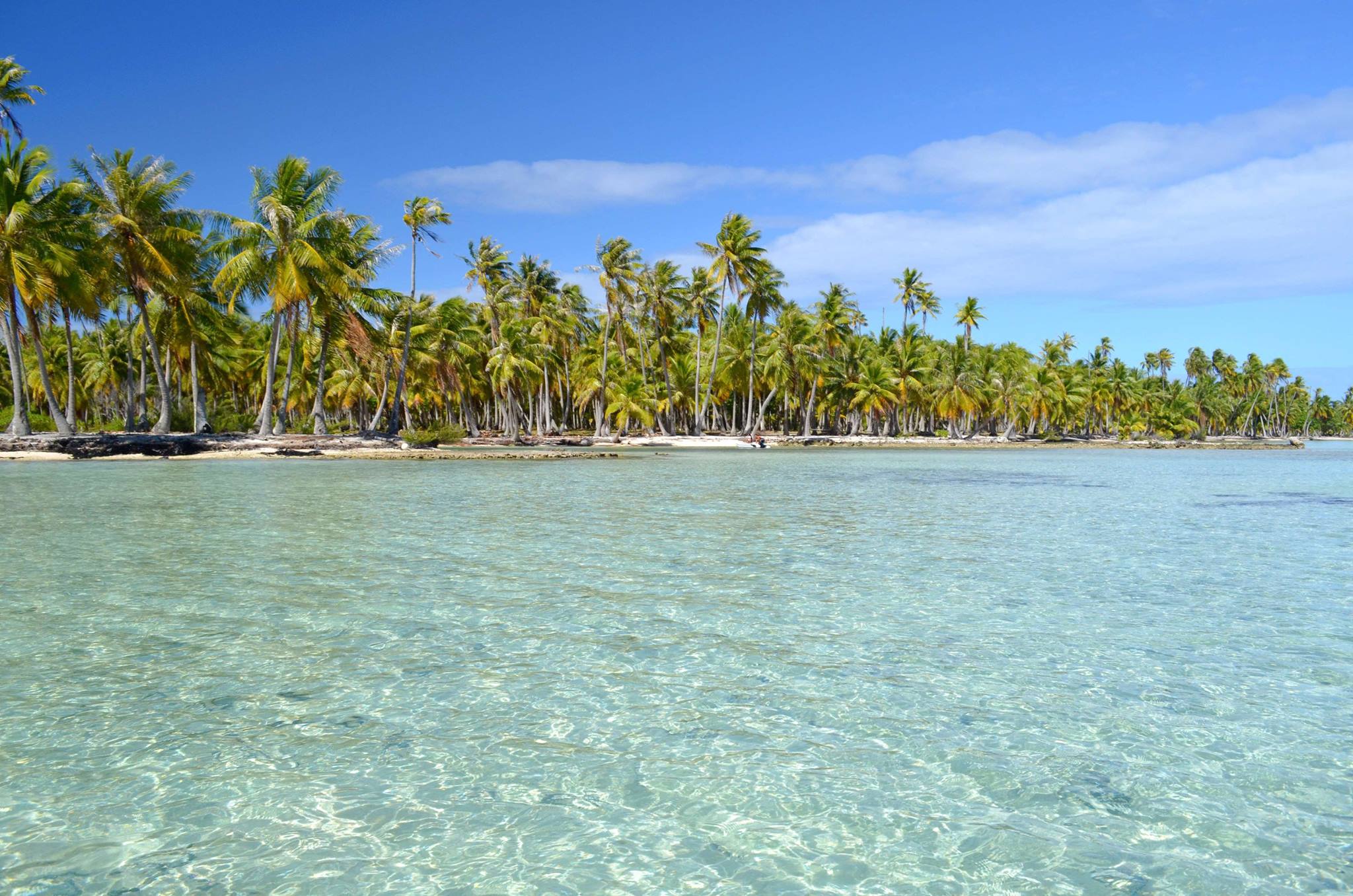 La bellezza di un popolo: Polinesia Francese (Rangiroa) - 7cc9